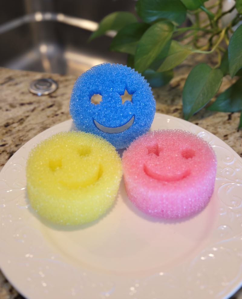 Home All Products Online Only AP Reusable and Biodegradable Sponge ...